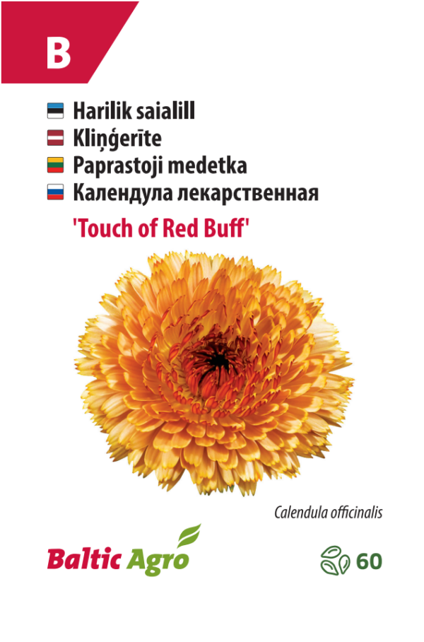 Saialill ‘Touch of Red Buff’ - AGROZONE.EE - usaldusväärne partner ...