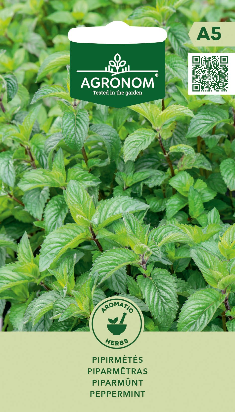 Piparmünt - AGROZONE.EE - usaldusväärne partner aianduses